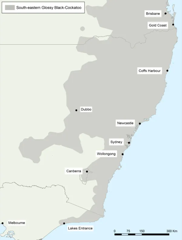 The Great Glossy Count - BirdLife Australia