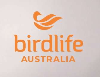 News - Page 2 of 8 - BirdLife Australia