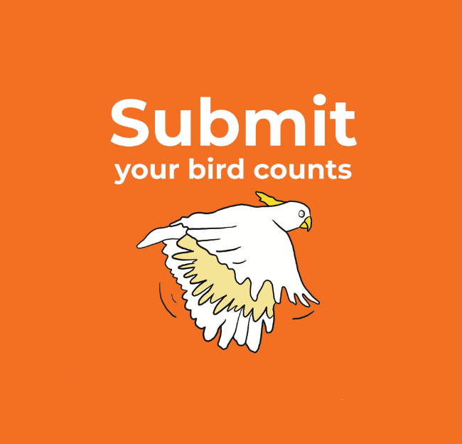 The 10th Aussie Bird Count starts today - BirdLife Australia