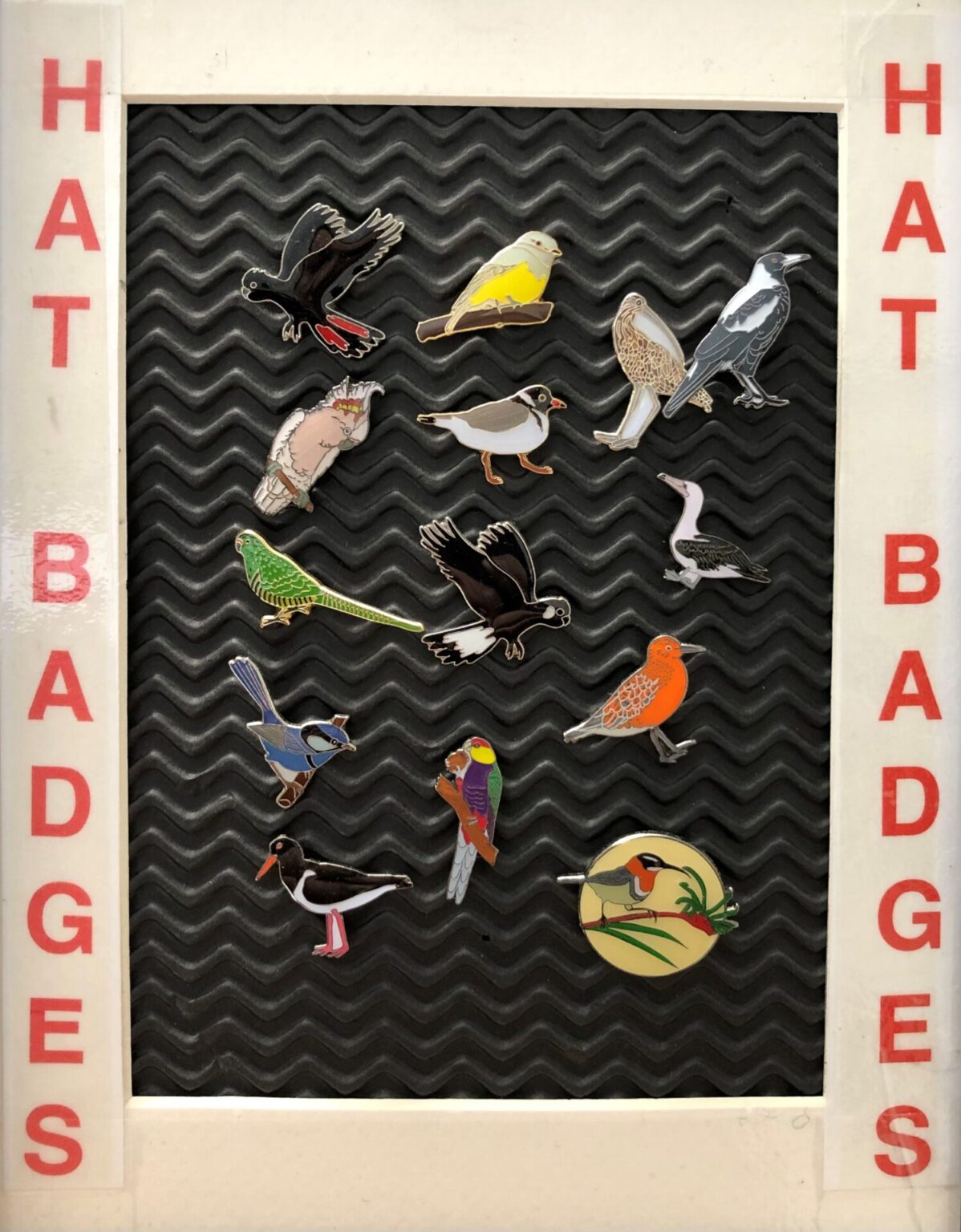 BirdLife WA - our offices and our shop - BirdLife Australia