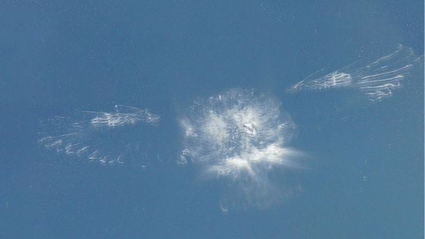 Preventing bird strike - BirdLife Australia