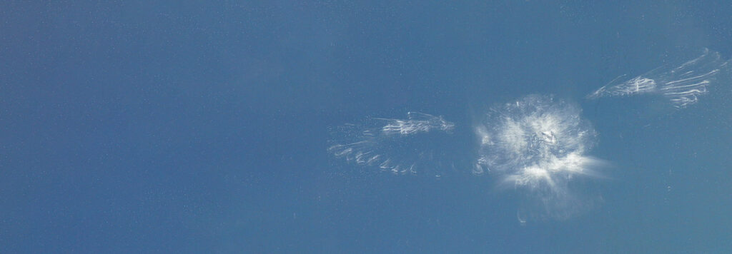 Preventing bird strike - BirdLife Australia
