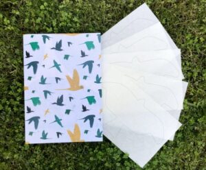 Preventing bird strike - BirdLife Australia