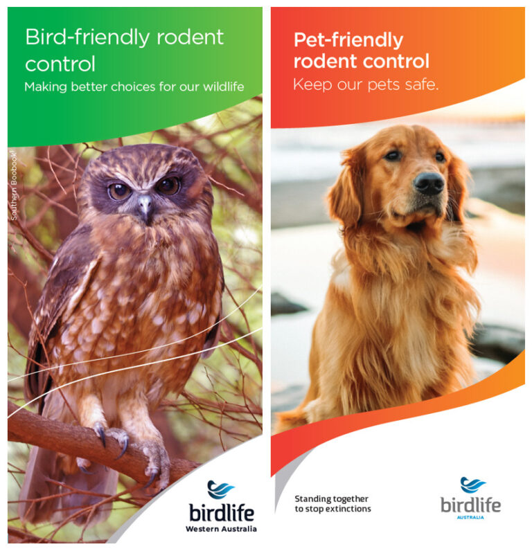 BirdLife WA - Bird and Pet-friendly Rodent Control - BirdLife Australia