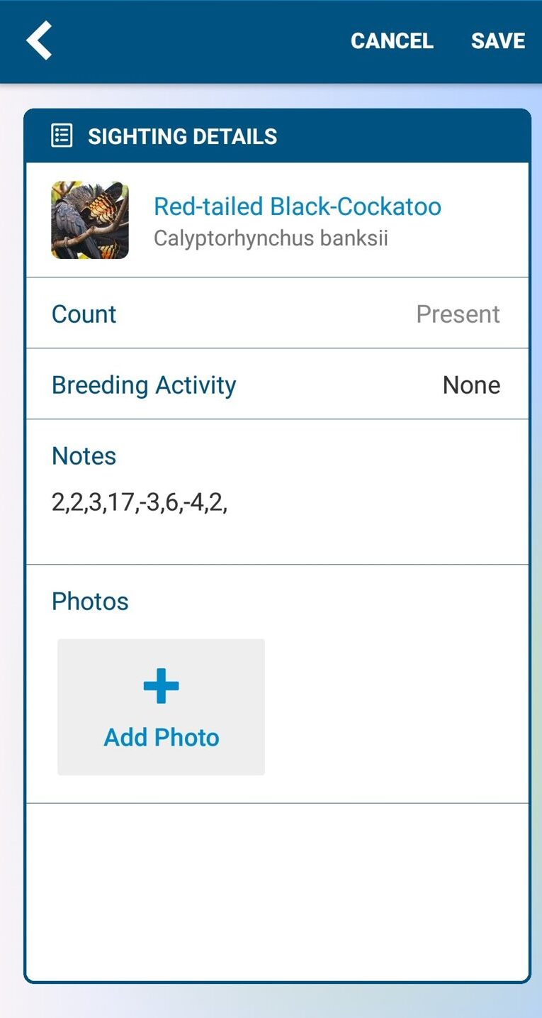 Great Cocky Count: Using the Birdata mobile app - BirdLife Australia