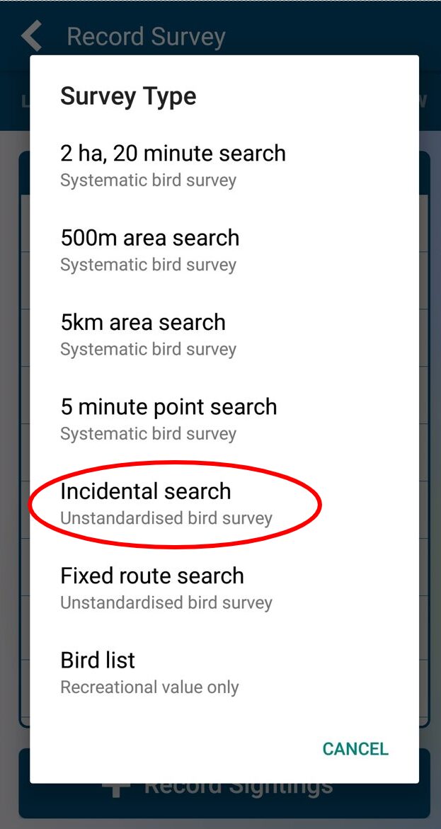 Great Cocky Count: Using the Birdata mobile app - BirdLife Australia