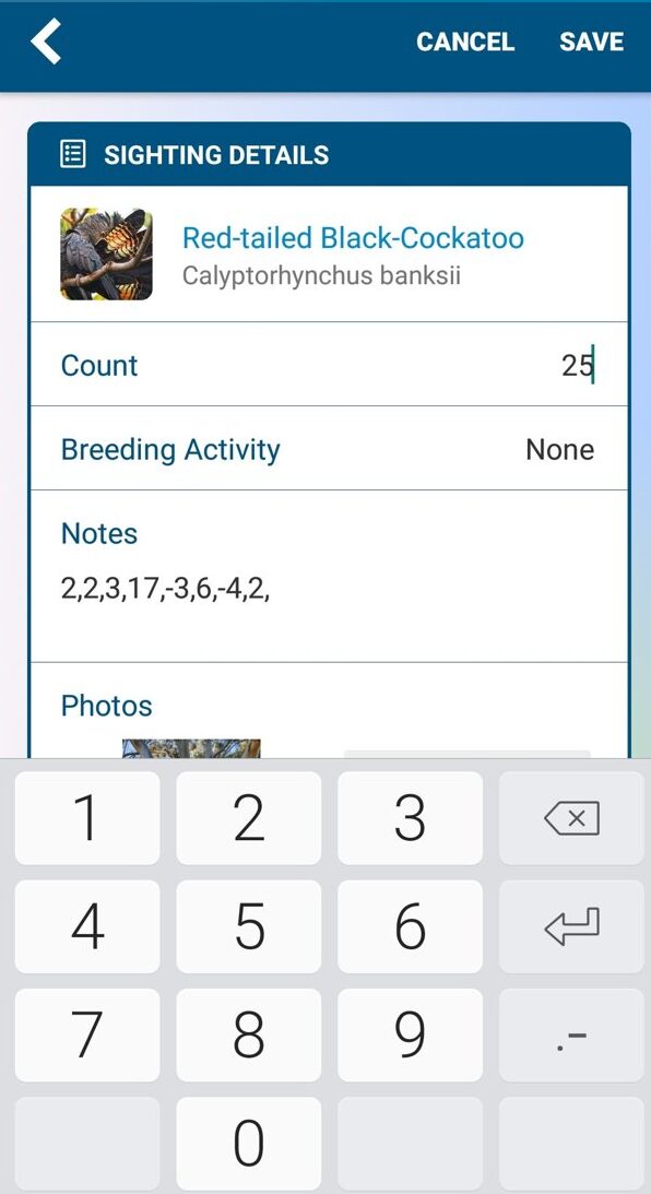 Great Cocky Count: Using the Birdata mobile app - BirdLife Australia