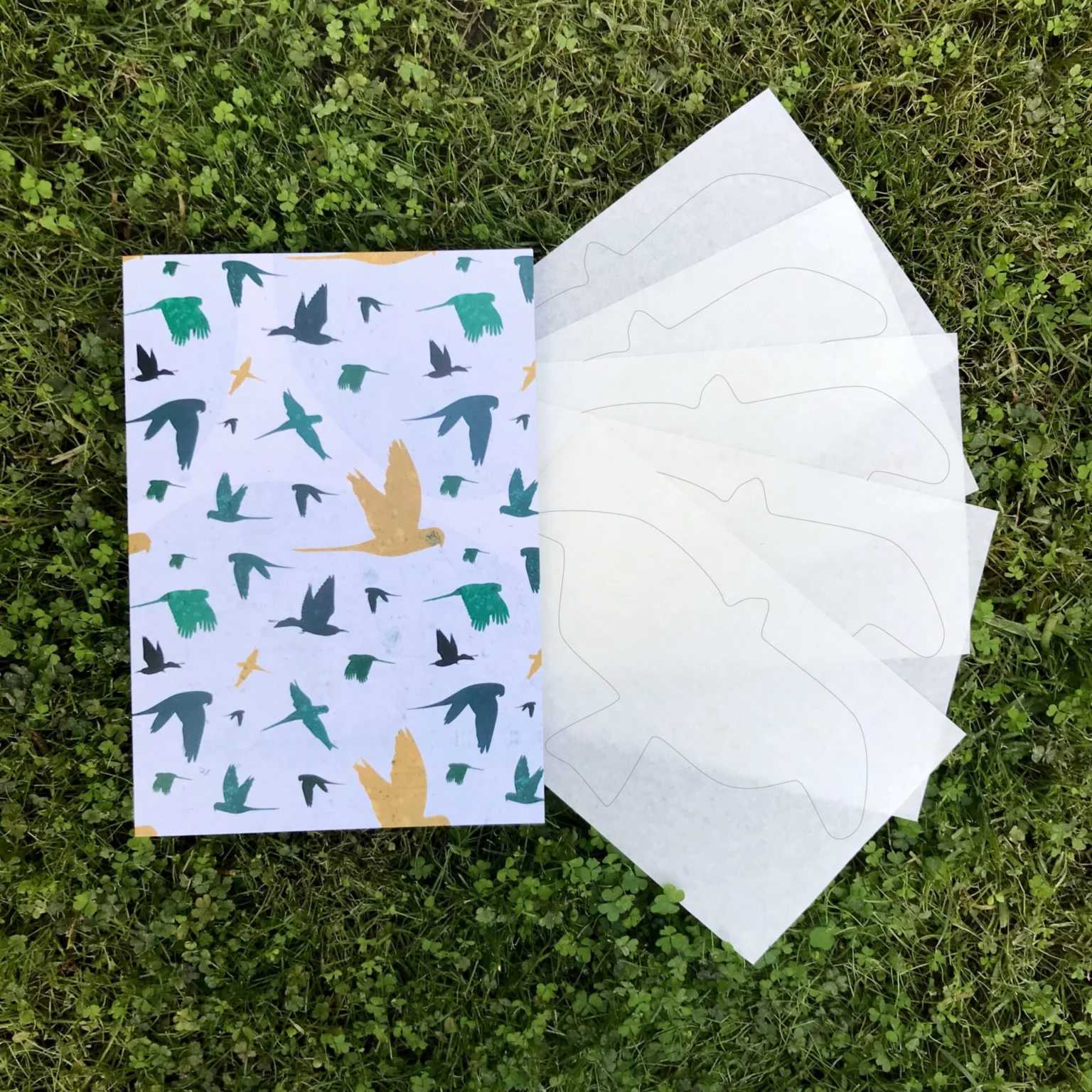 Anti-collision Bird Stickers - BirdLife Australia