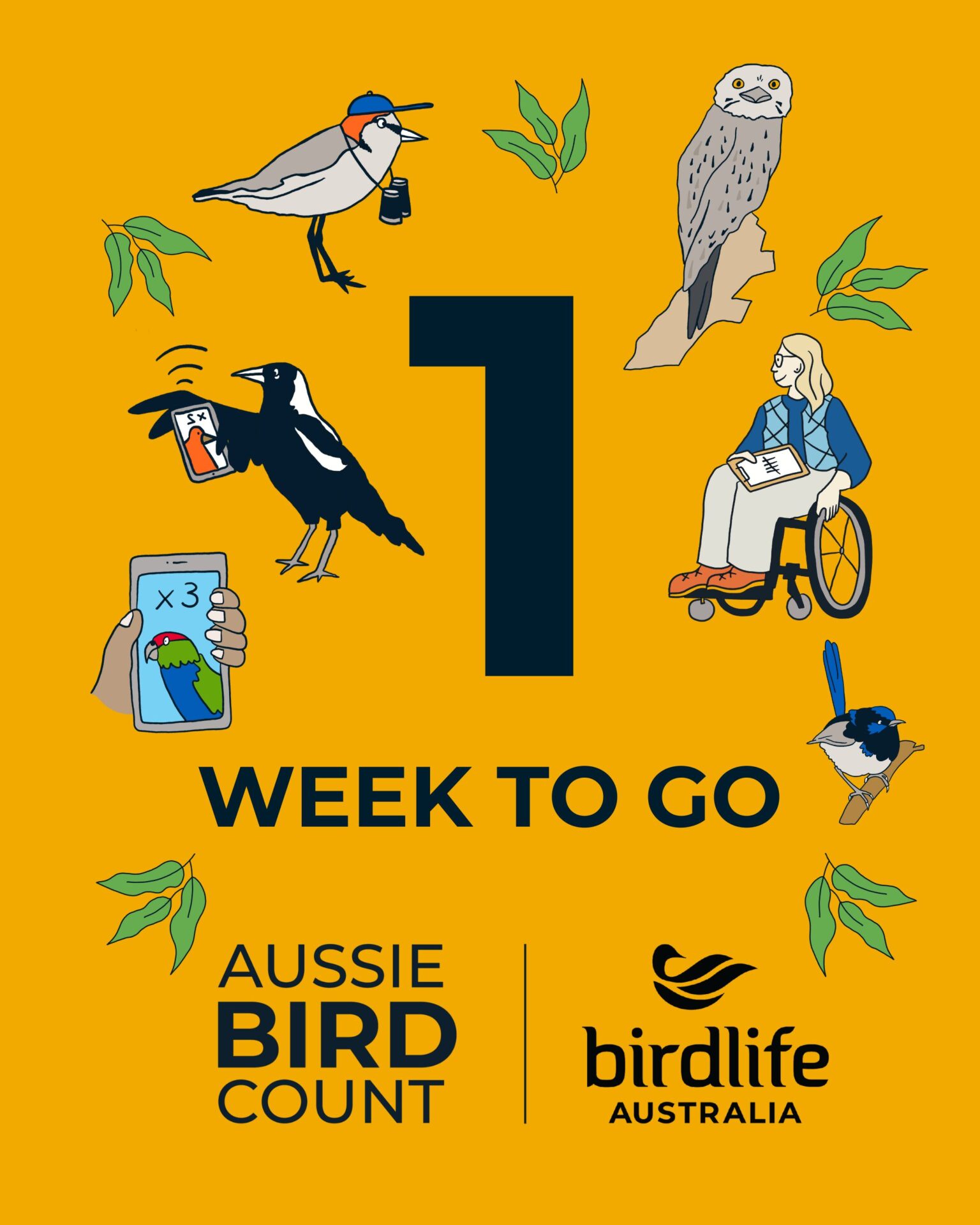 One week to go until the Aussie Bird Count - BirdLife Australia