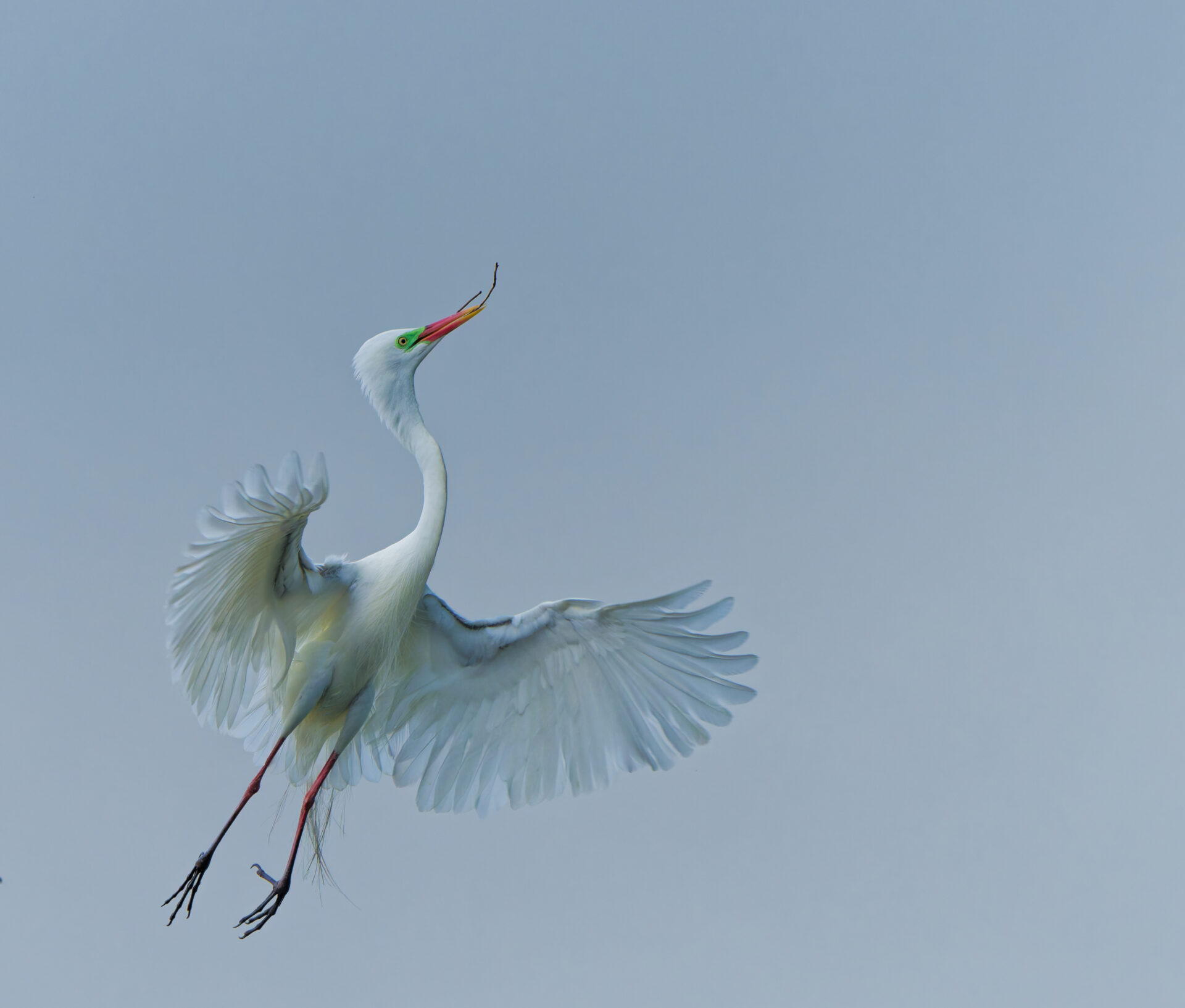 Announcing the winners of the 2025 BirdLife Australia Photography ...
