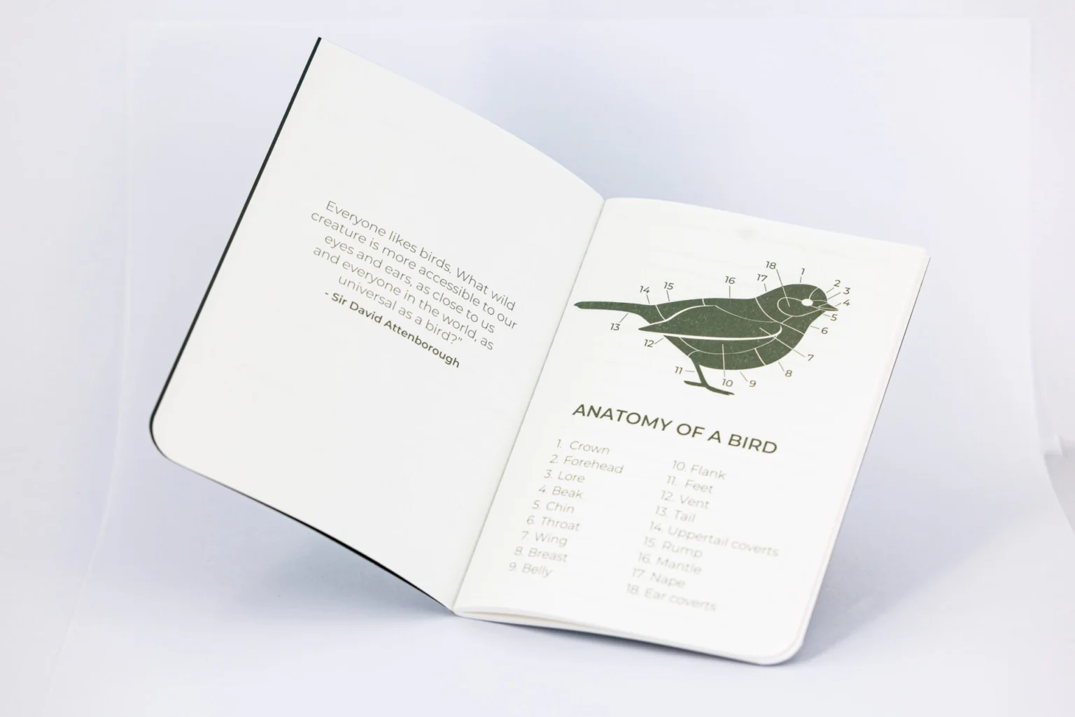 Field Stone Paper Notepad - Lyfer - BirdLife Australia