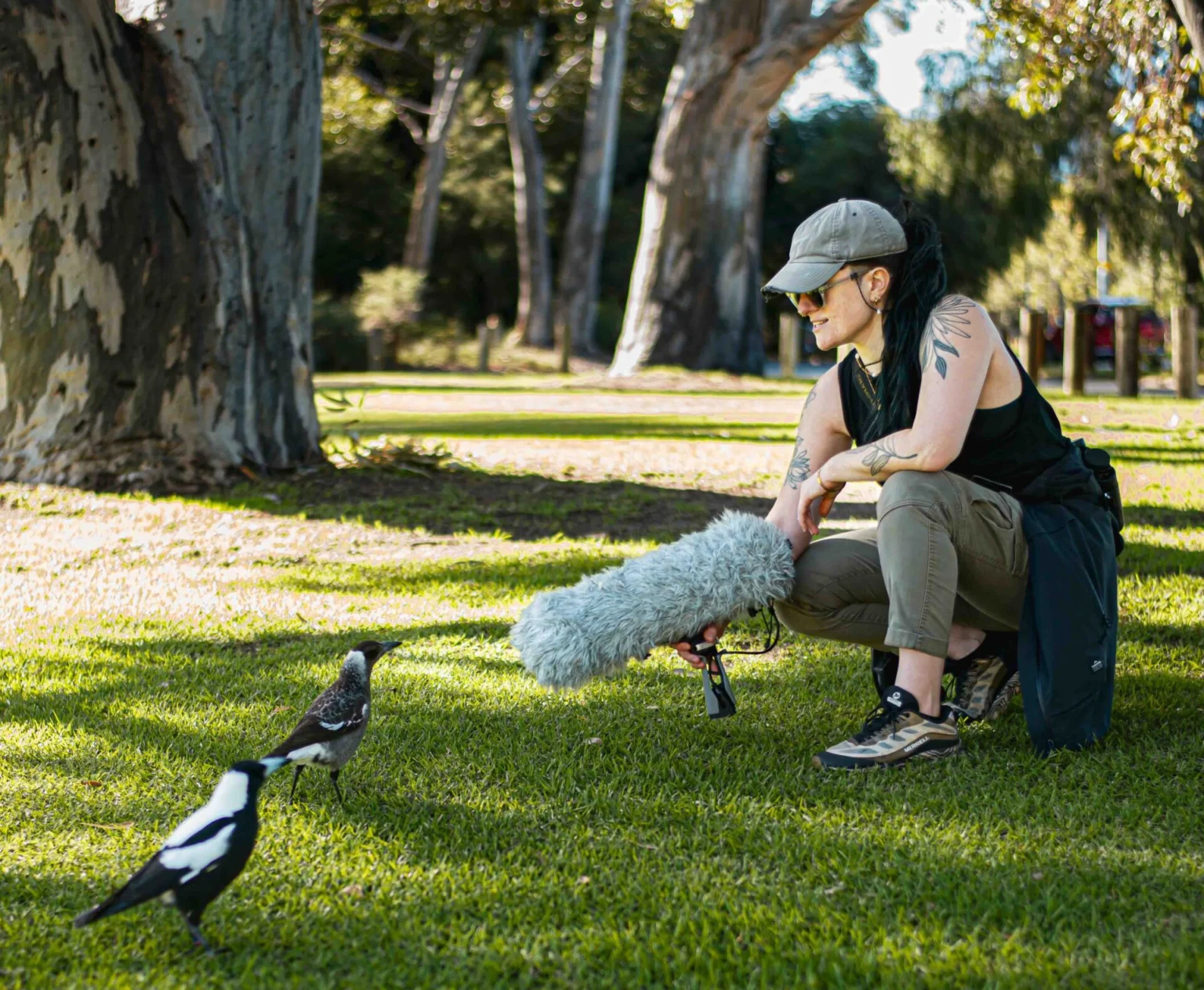 Young Western magpies learn 'sentences' like human toddlers - BirdLife ...
