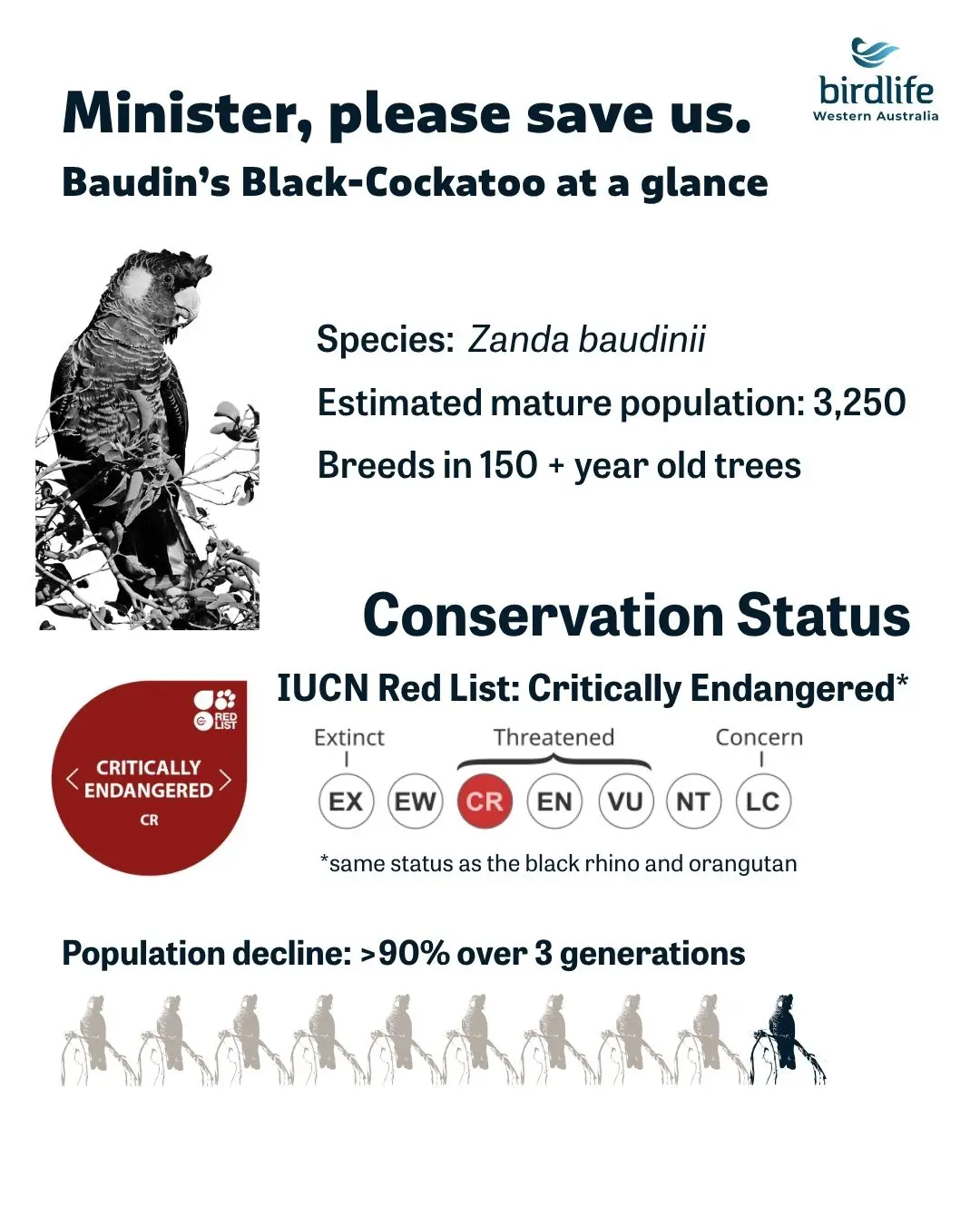 News - Tell the Minister: Don't Give Alcoa a New Exemption - BirdLife ...